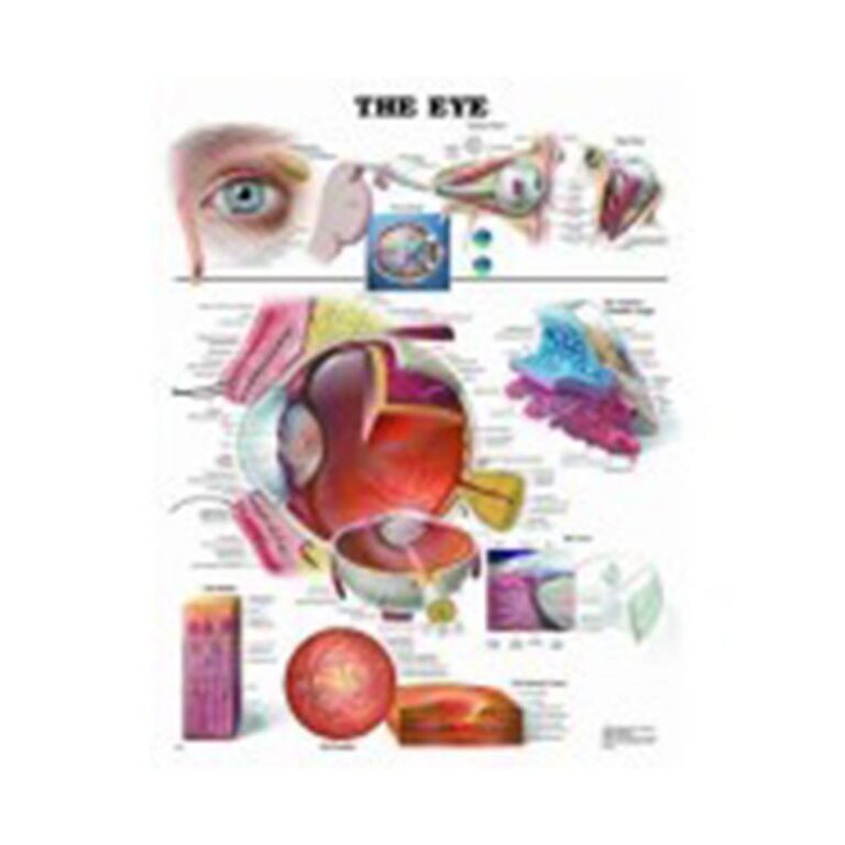 Eye Chart - Hospital Services Limited